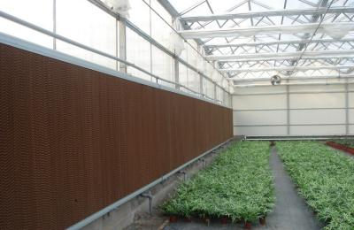 China evaporative cooling pad for sale