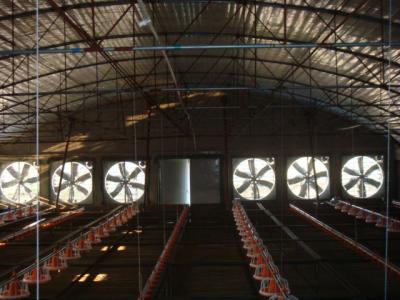 China centrifudal shutter exhaust fan use for poultry greenhouse /workshop for sale