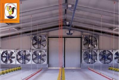 China centrifudal shutter exhaust fan use for poultry greenhouse /workshop for sale