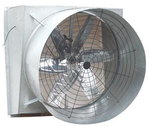 China front shutter door butterfly cone fan for sale