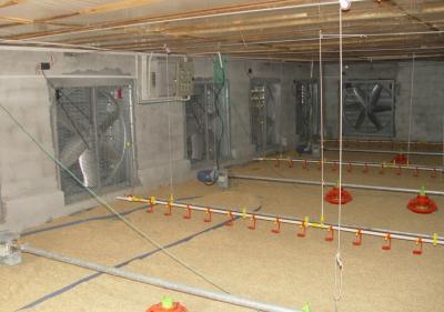 China farm fan, ventilation fan, animal fan,Chicken Drinker, Animal Husbandry, Poultry fan for sale