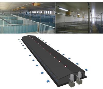 China cooling pad|exhaust fan|poultry fan|cone fan for sale