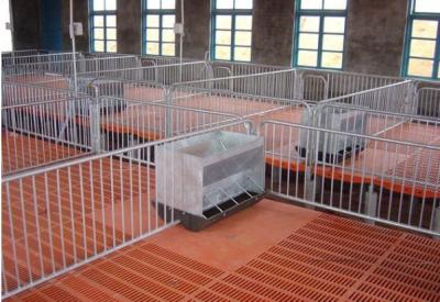 China Pig project- nursery pen for sale