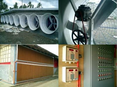 China News - cooling pad,exhaust fan,poultry fan,cone fan - NorthHusbandry Machinery for sale