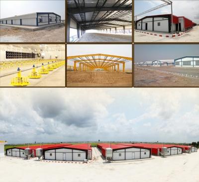 China Poultry farming - we bring you the latest technology for sale