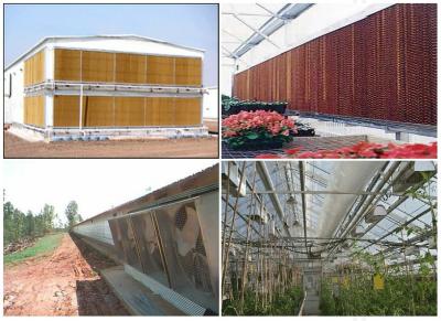 China Cellulose Evaporative Cooling Pad for Poultry and Green House for sale