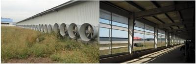 China poultry house/greenhouse Poultry fan heating machine for industry for sale