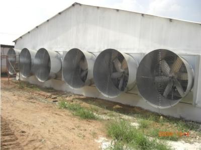 China Butterfly type cone fan - Poultry fan , Poultry equipment for sale
