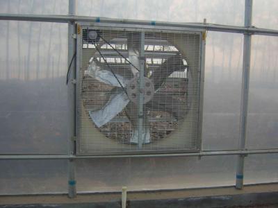 China High quality heavy hammer exhaust fan for sale