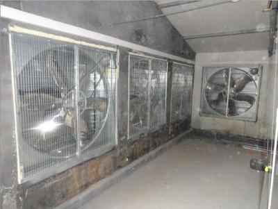China North Husbandry Cooling Pad For Poultry House for sale