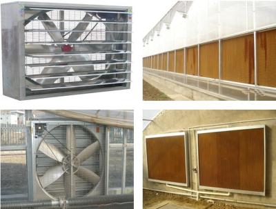 China Poultry equipment Ventilation Fan for sale
