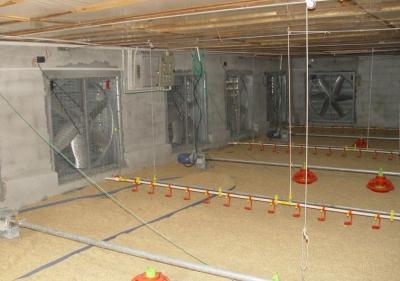 China Evaporative Cellulose Cooling Pad for Poultry Farm for sale