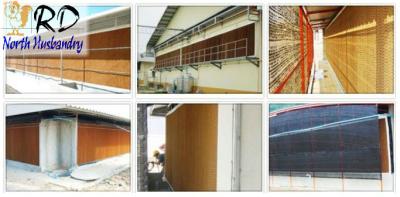 China corrugated cellulose evaporative cooling pad for greenhouse|poultry house for sale