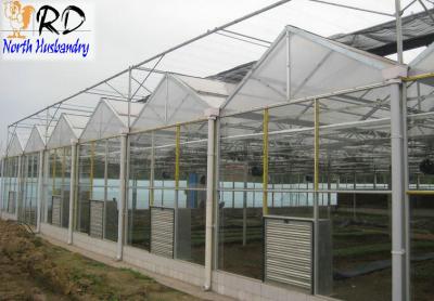 China 7090 corrugated evaporative cooling pad for greenhouse and poultry for sale
