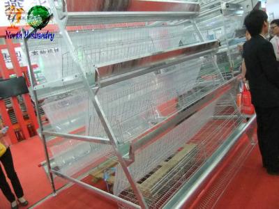 China poultry farm layer cage for sale