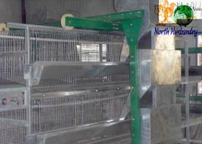 China poultry cage for sale