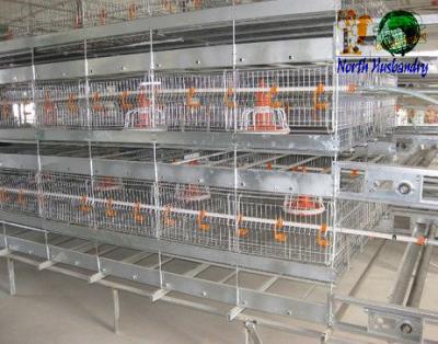 China professional poultry cages for sale