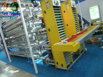 China egg laying poultry cages supply for sale