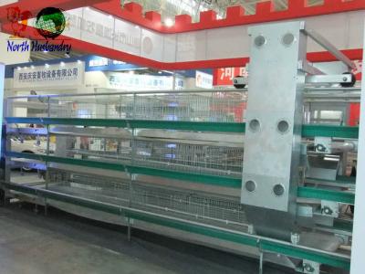 China chicken egg layer cages for sale
