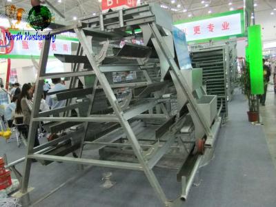 China design poultry cage for large scale poultry feed for sale