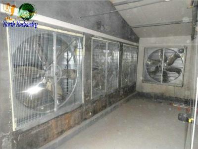China poultry fan for chicken house for sale