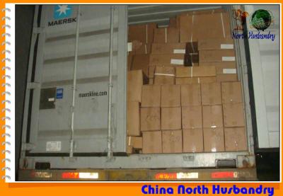 China China North Husbandry Selecting Fans & Shutter Sizes - Charley's Greenhouse for sale