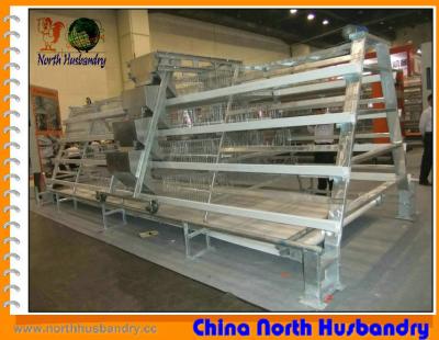 China Poultry Cages - Broiler Breeder Layer Cages, Battery Cages For for sale