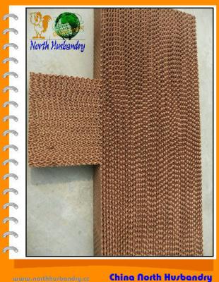 China Evaporative Cooling Pad Quality Makes a Difference | Poultry for sale