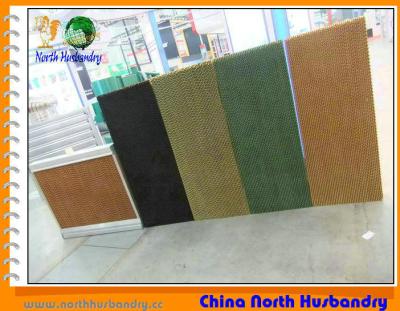 China Greenhouse and poultry house cooling /Evaporative cooling pad for sale