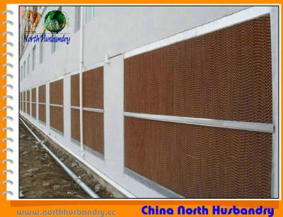 China Poultry cooling pad and exhaust fan for chicken and broiler for sale