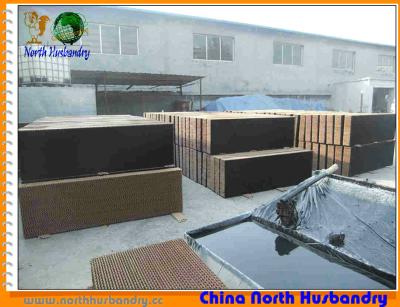 China cooling pad|exhaust fan|poultry fan|cone fan for sale