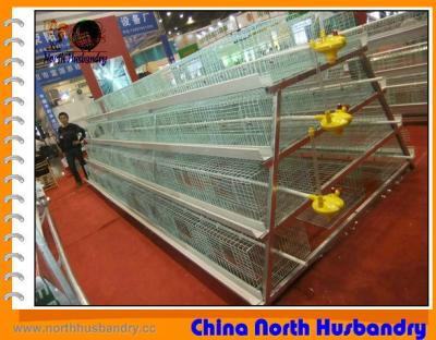 China High quality poultry farm equipment for sale for sale