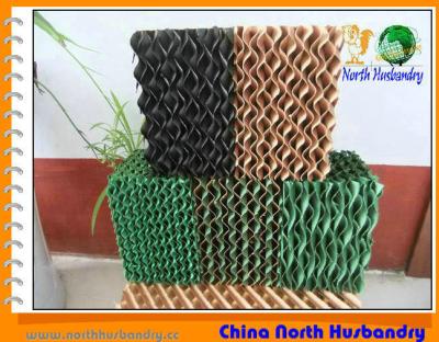 China North Husbandry -poultry farming equipments for sale