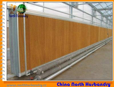 China North Husbandry -Controlled Climate System for poultry farms for sale