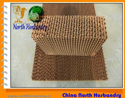 China North Husbandry -Cellulose Cooling pad for poultry farm for sale in China for sale