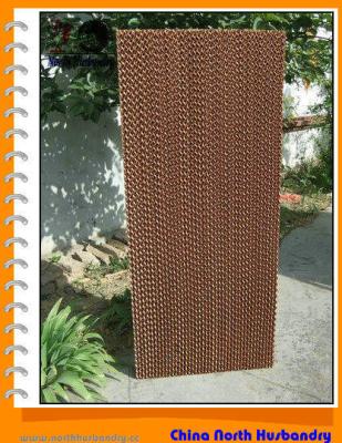China North Husbandry -Sell Evapotative Cooling Pad System for Poultry Farm Equipment for sale