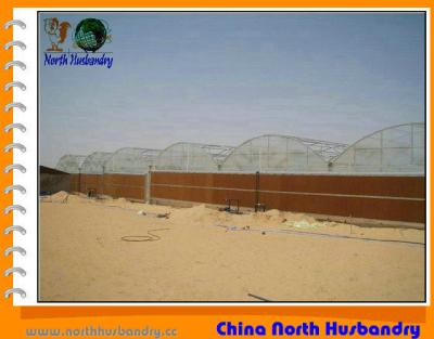 China Automatic Poultry Cooling Pad System from China Agriculture for sale
