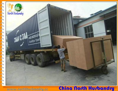 China poultry equipment for sale - Compare prices,Buy cheap poultry for sale