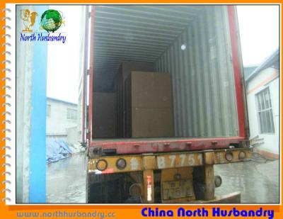 China buy poultry evaporative water cooling pad images for sale