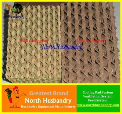 China 7090 type evaporative cooling pad for poultry farm for sale