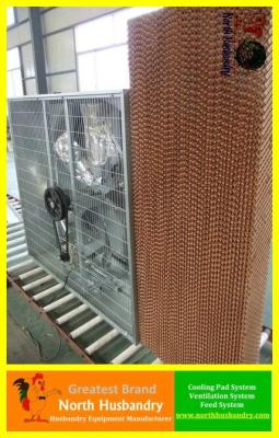 China Evaporative cooling pad for cooling system ( Greenhouse,Poultry Farm) for sale
