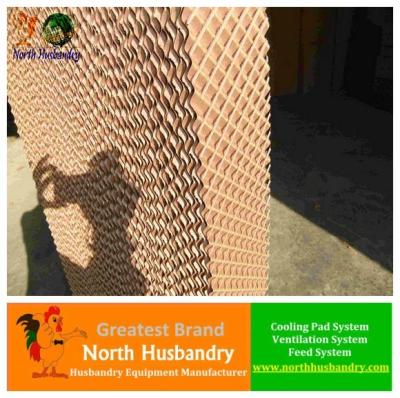 China Evaporative cooling pad for poultry and green house for sale