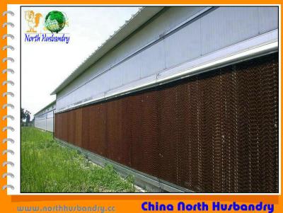 China Best Evaporative cooling pad for poultry for sale