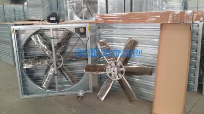 China Mô Hình Xây Dựng Chuồng Gà for sale