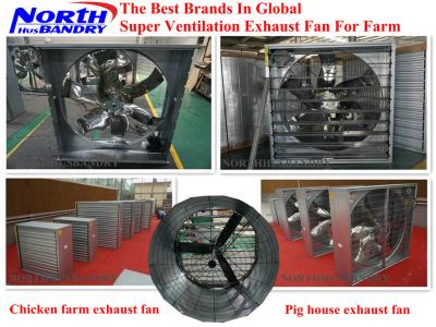 China Poultry Equipment Centrifugal Exhaust Fans | Poultry Cone Centrifugal Exhaust Fans for sale