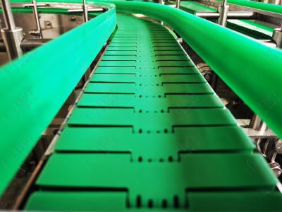 China Customized Chain Conveyors Systems Belt Transfer for sale