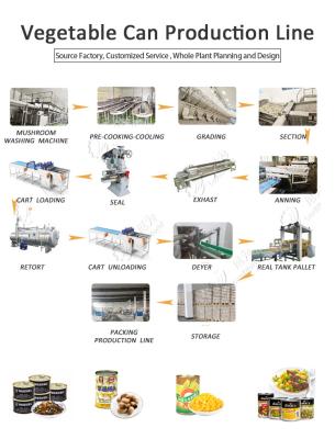 China Asparagus Cutting Washing Processing Line / Broccoli Production Machine / Asparagus Processing Machinery Line for sale