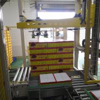 China Food Packaging Palletizing Line Machine Industrial Servo Cartesian Palletizer for sale