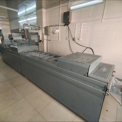 Cina Automatic Stretch Film Thermoforming Pack Syringe Vacuum Packaging Machine in vendita
