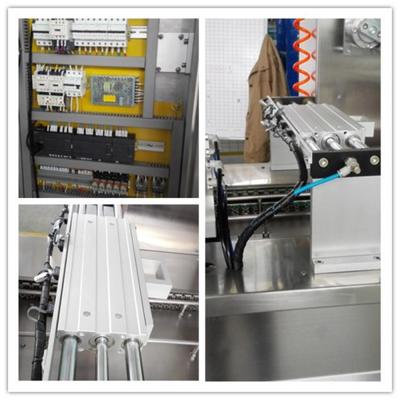 Cina Automatic Stretch Film Thermoforming Pack Syringe Vacuum Packaging Machine in vendita